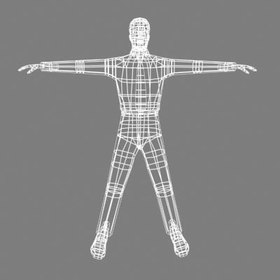 human male 3d model