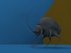 Free Insect 3D Models for Download | TurboSquid