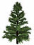 3d model conifer bryce