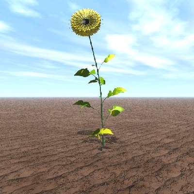 sun dial flower plant 3d model