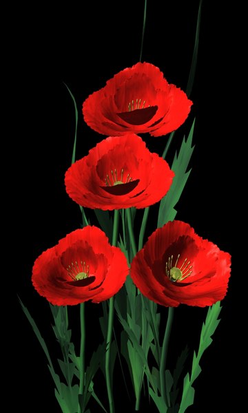 modelo 3d california poppies.3ds - TurboSquid 159208