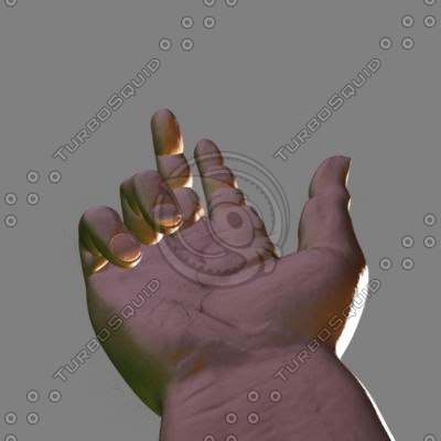 hand fingers 3d model