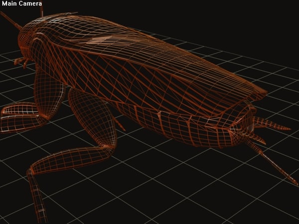 character animation 3d model