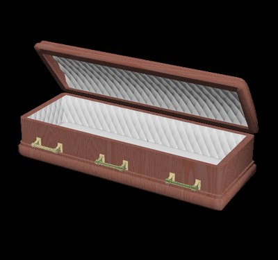 3d coffin model