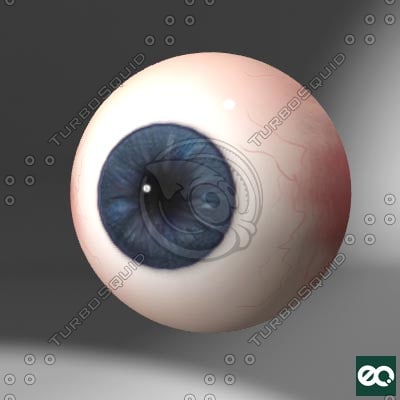 3d eye iris model