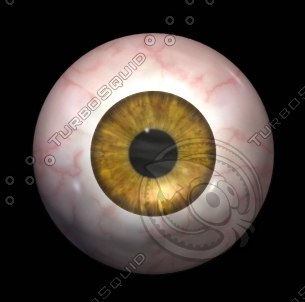 awsome iris eye 3d model