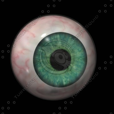 awsome iris eye 3d model