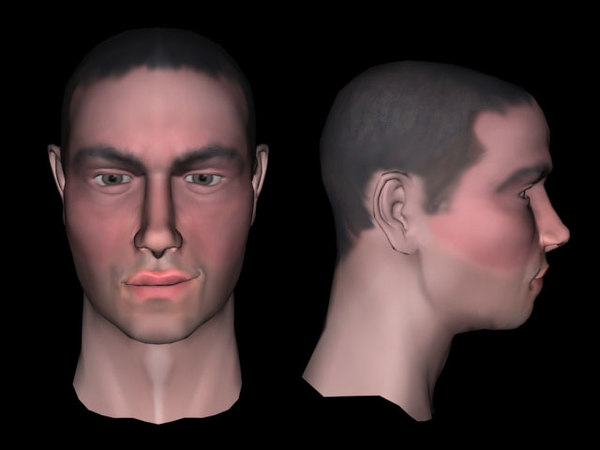 3d realistic human model