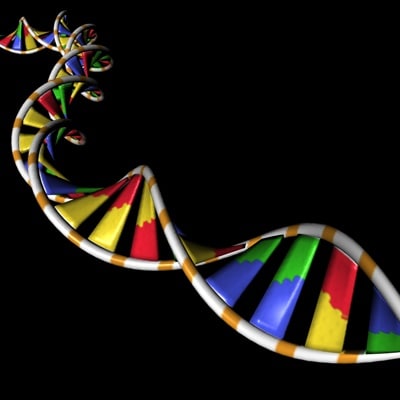 3d dna