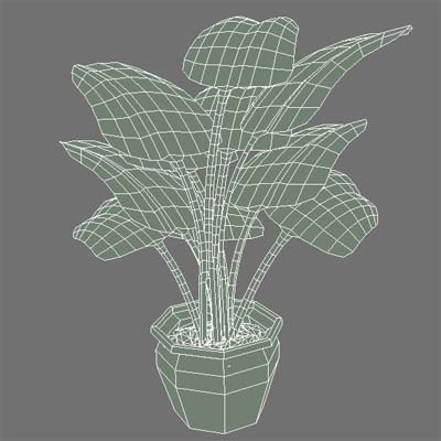 3d house plant pot model