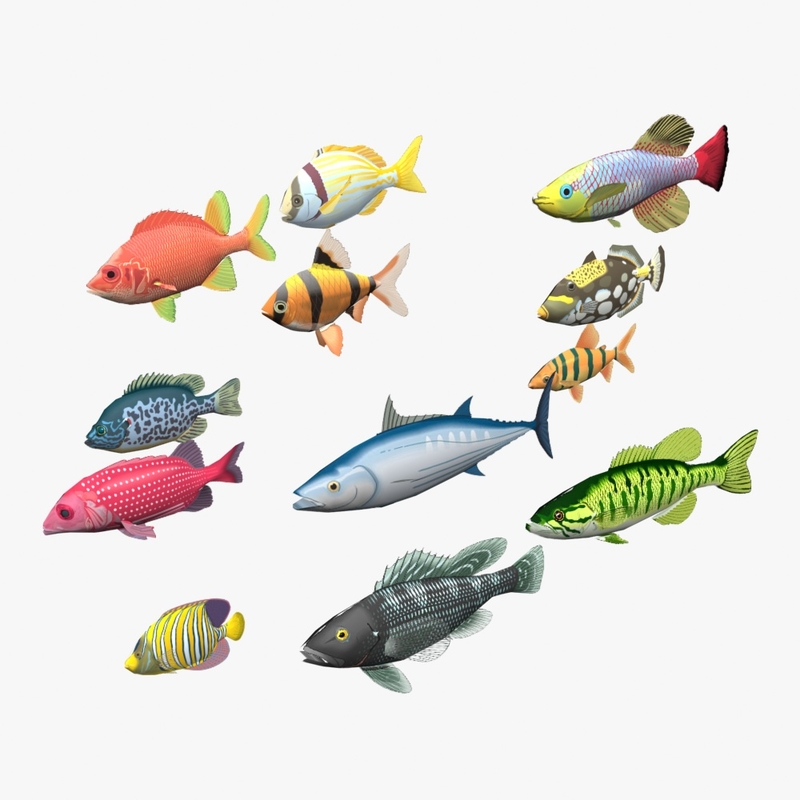 tropical fish 3d model