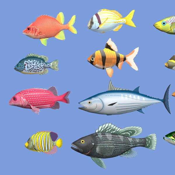 tropical fish 3d model