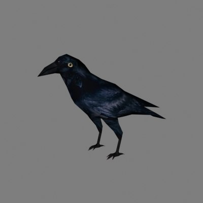 3d crow bird