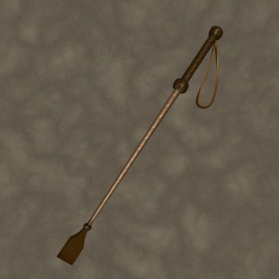 riding crop zipped max