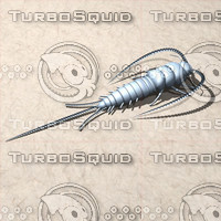 3d model silverfish insect