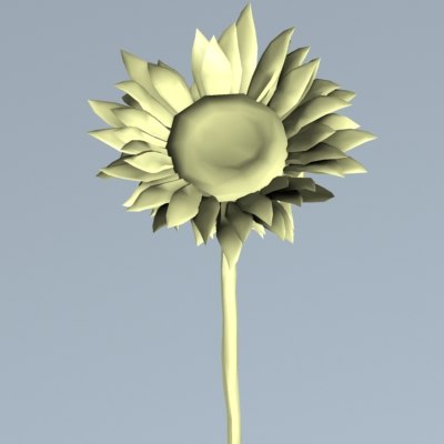 Sunflower 3D Models for Download | TurboSquid