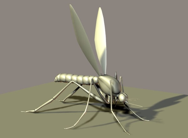 mosquito 3d model