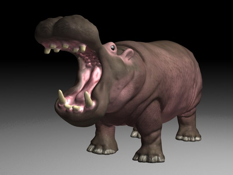 hippo 3d max