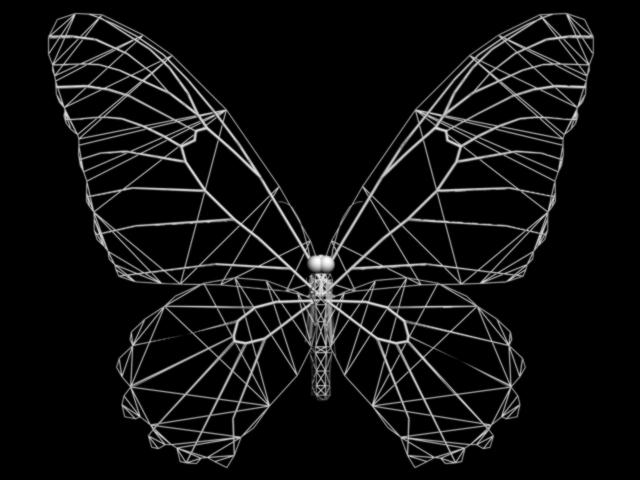 bird wing butterfly flapping 3d model