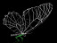 bird wing butterfly flapping 3d model