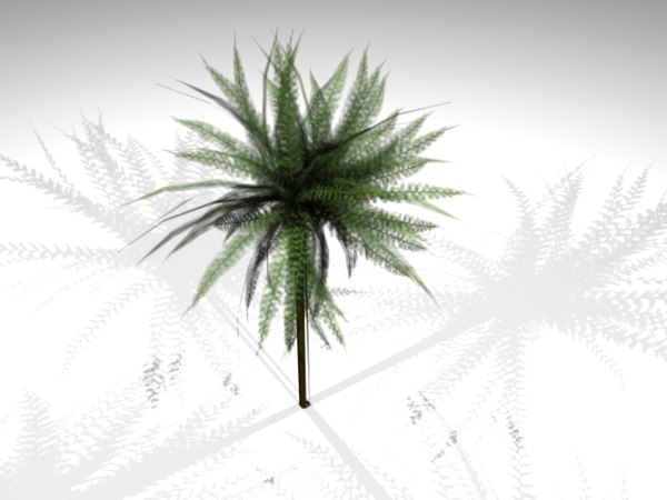 3d photorealistic palm model