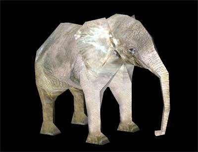 Free 3D Elephant Models | TurboSquid