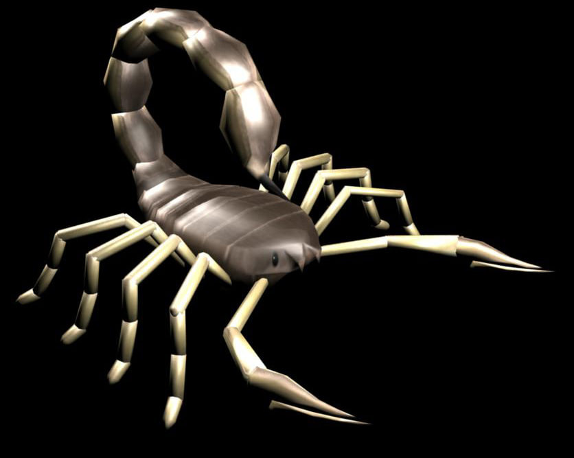 3d model scorpion