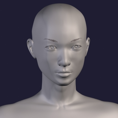 female anatomy human 3d model