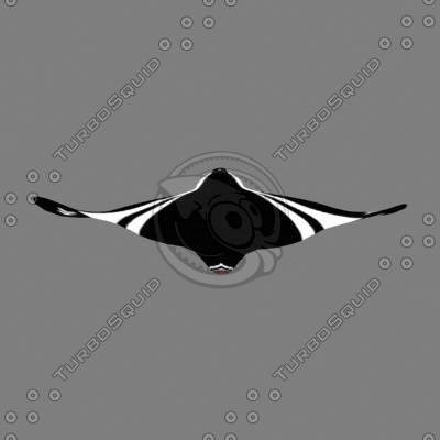 cramp-fish numb-fish 3d model