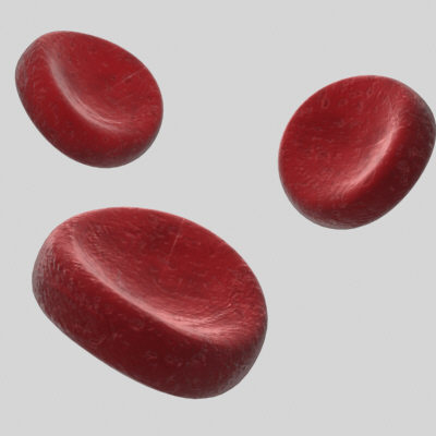 red blood cell 3d model