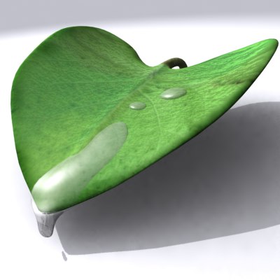 Free 3D Leaf Models | TurboSquid