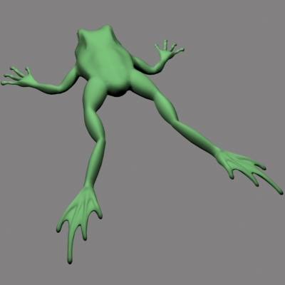 3d frog model