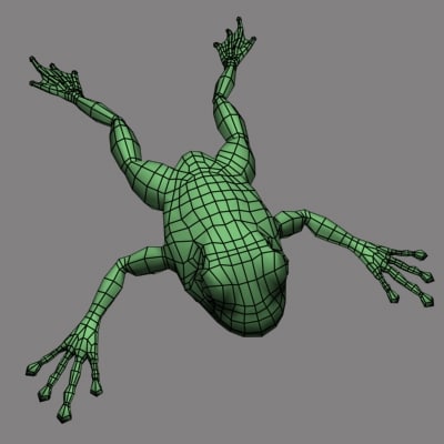 3d frog model