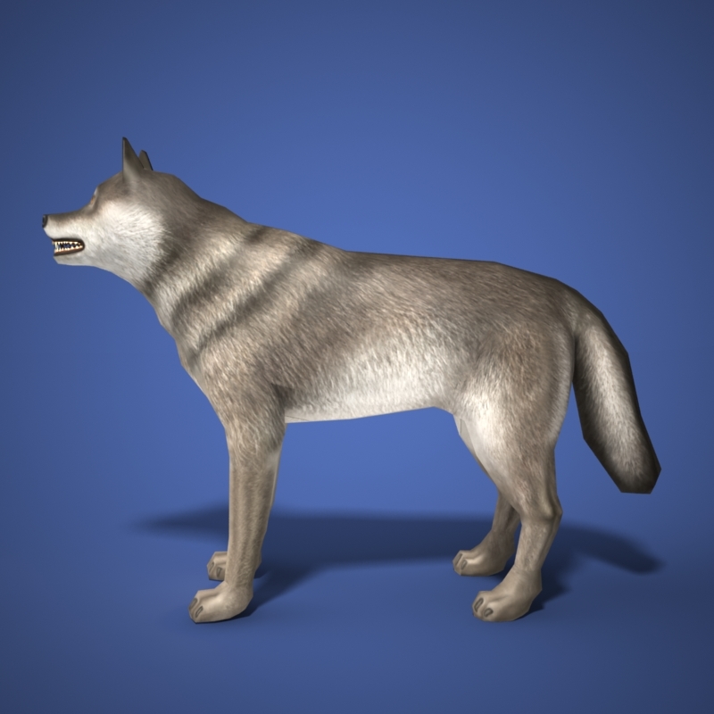real time wolf 3d model