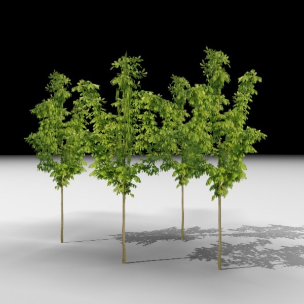 3d tree j3d model