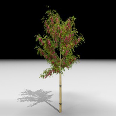 tree plant 3d model