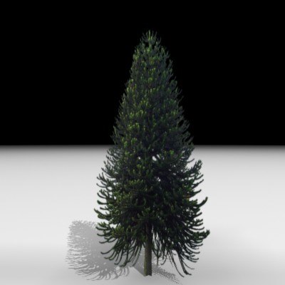 tree plant 3d model