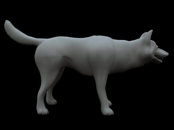 3d wolf model