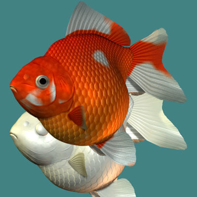 fish goldfish ping-pong 3d model