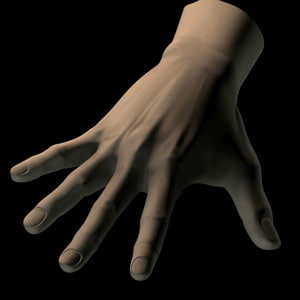 modelo 3d hand.c4d - TurboSquid 238892