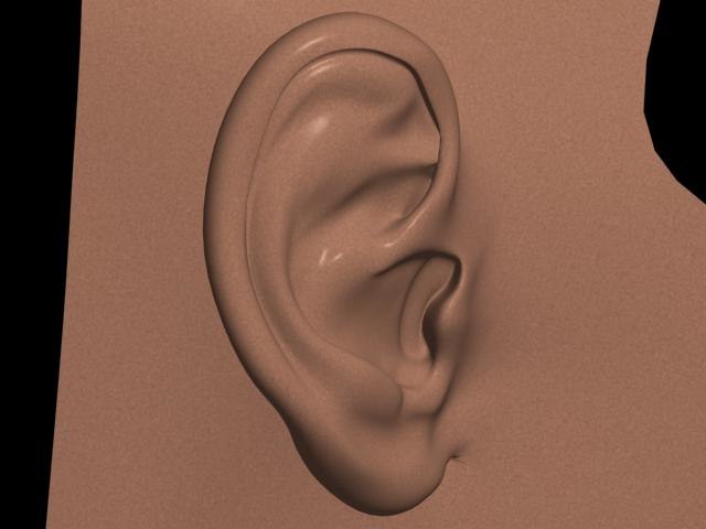 3d ear