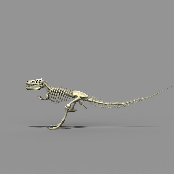 t-rex skeleton 3d model
