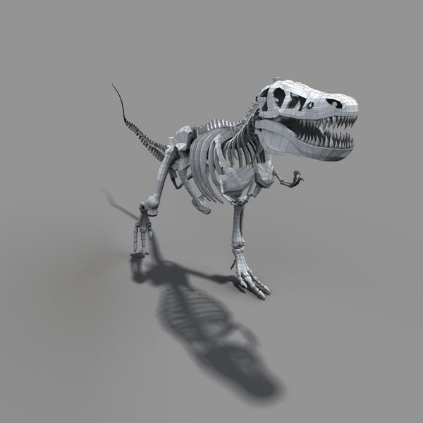 t-rex skeleton 3d model