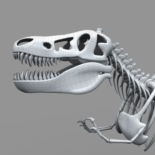 t-rex skeleton 3d model