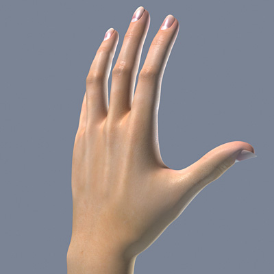 realistic hand 3d model