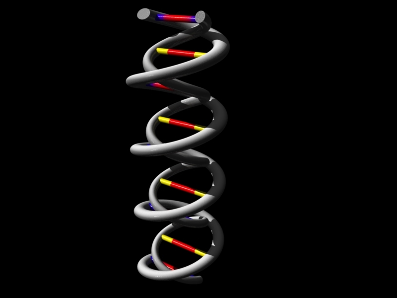 3d dna strand model