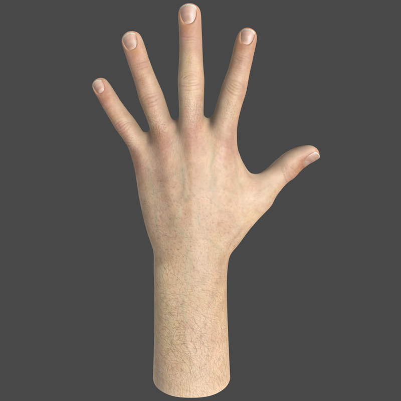 male hand modeled 3d model