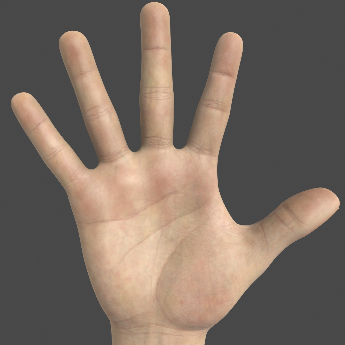male hand modeled 3d model