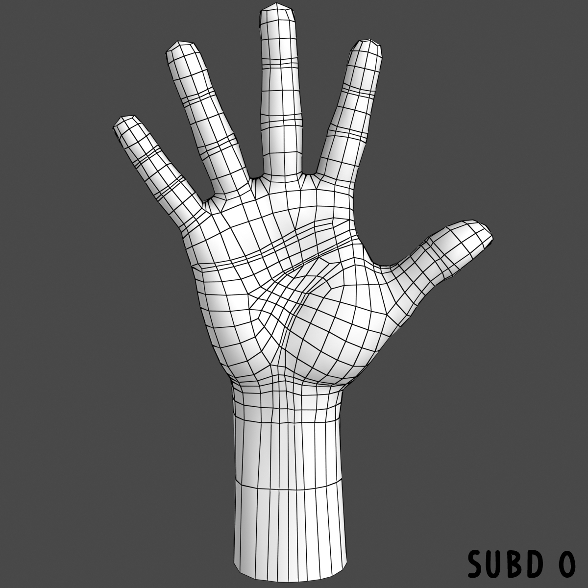 male hand modeled 3d model