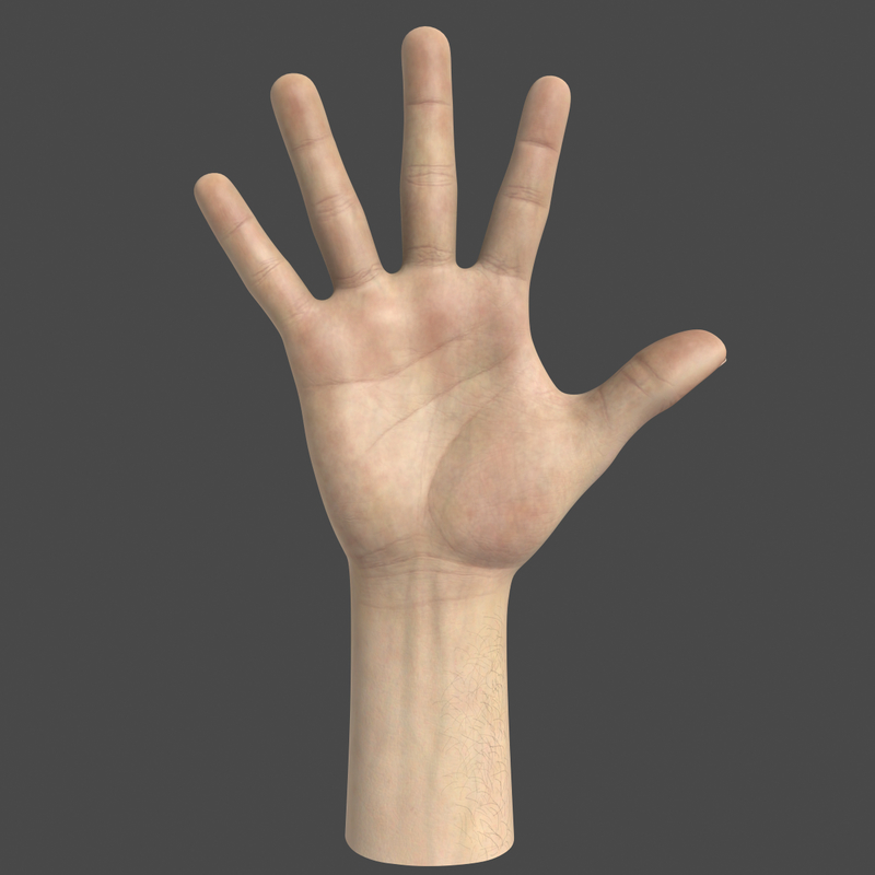 male hand modeled 3d model
